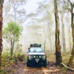 From Sydney: 2-Day Blue Mountains Camping 4WD & River Cruise - Why This Tour Is a Solid Choice