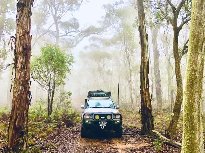 From Sydney: 2-Day Blue Mountains Camping 4WD & River Cruise - Why This Tour Is a Solid Choice