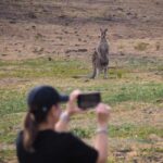 From Sydney: Australian Wildlife Safari with Lunch & Dinner - Frequently Asked Questions (FAQs)