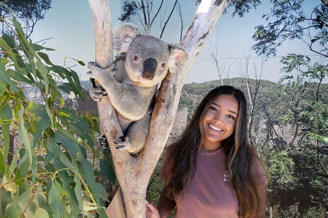 From Sydney Blue Mountains Day Tour and Hop-on, Hop-off Bus Tour - Scenic World & the Discovery Pass: A Closer Look