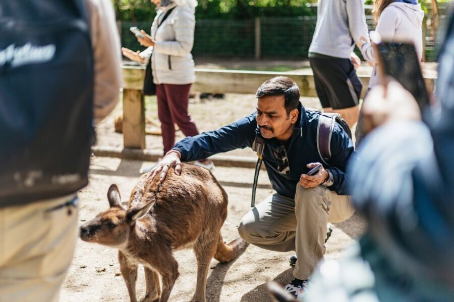 From Sydney: Blue Mountains Full-Day Trip - FAQs