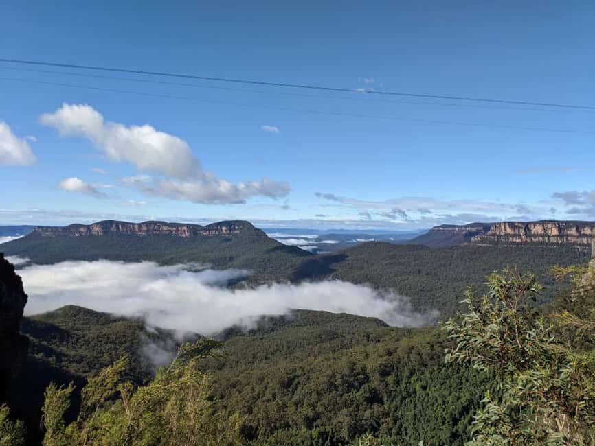 From Sydney: Blue Mountains Private Tour with Wildlife Park - What the Reviews Say