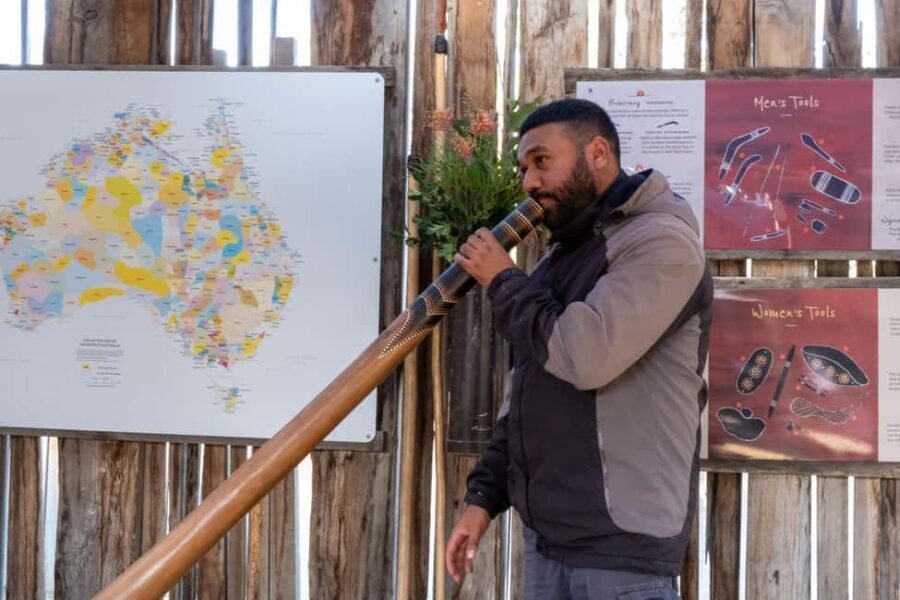 From Sydney: Blue Mountains, Scenic Railway, & Sydney Zoo - What the Experience Means for You