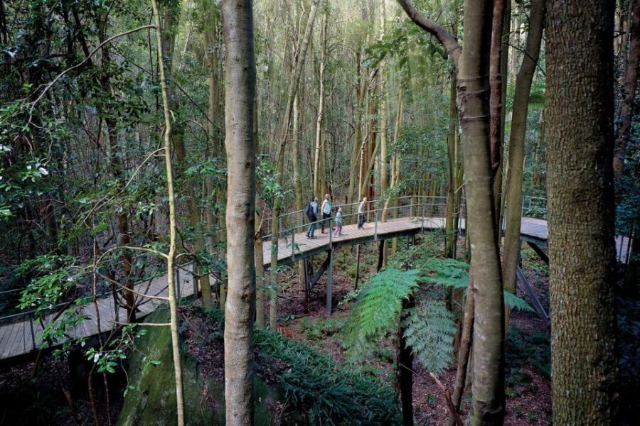 From Sydney: Blue Mountains, Scenic World, Zoo, & Ferry Ride - Transportation and Comfort