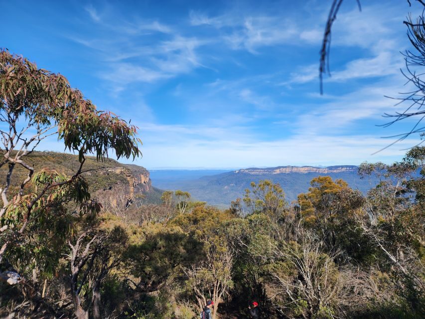 From Sydney: Blue Mountains Tour with Waterfall Walk & Lunch - Iconic Lookouts and Hidden Gems