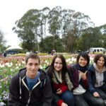 From Sydney: Canberra City Highlights and Floriade Day Tour - Transportation and Comfort