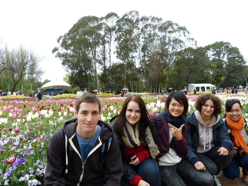 From Sydney: Canberra City Highlights and Floriade Day Tour - Transportation and Comfort