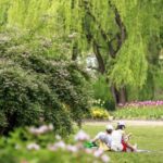 From Sydney: Canberra Floriade Festival Includes Lunch - Detailed Review of the Tour Experience