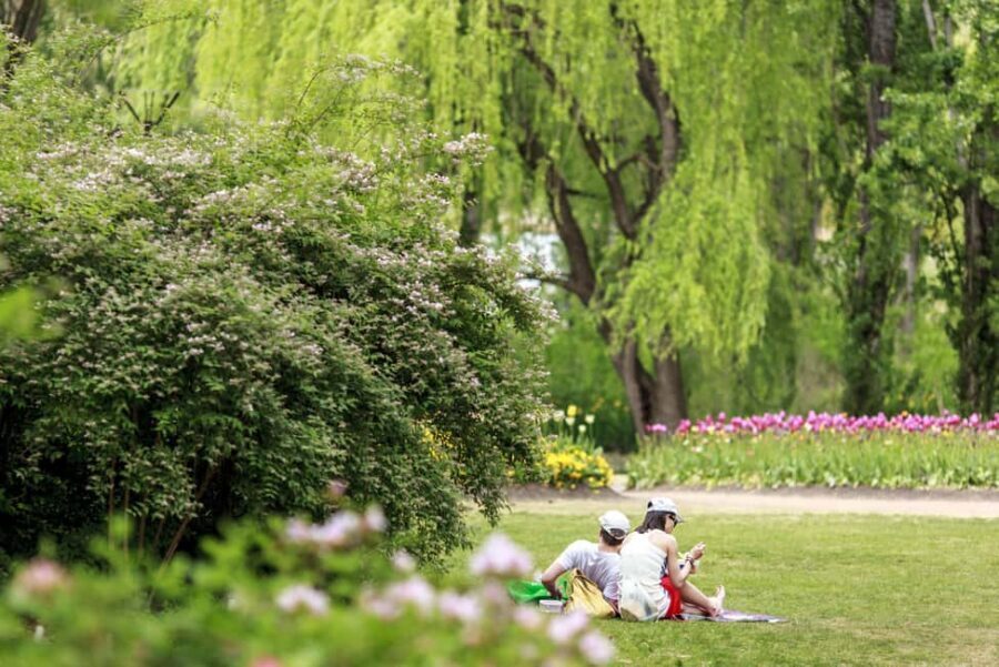 From Sydney: Canberra Floriade Festival Includes Lunch - Detailed Review of the Tour Experience