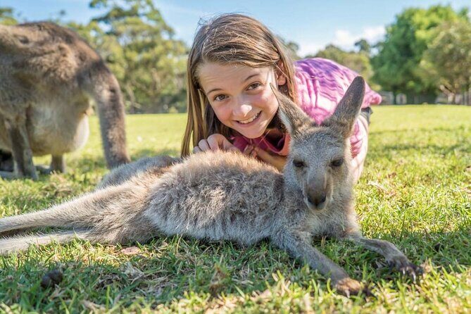 From Sydney: Day Tour to Jervis Bay with Beaches and Koalas - Analyzing the Value