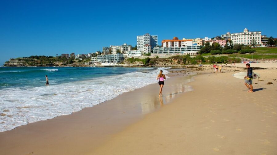 From Sydney: Full Day Tour of Golden Beaches and Ocean Vista - Who Should Consider This Tour