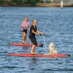 From Sydney: Full Day Tour of Golden Beaches and Ocean Vistas - Practical Considerations