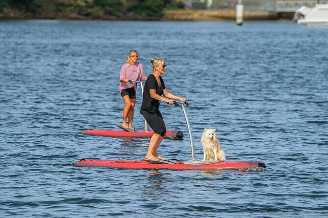From Sydney: Full Day Tour of Golden Beaches and Ocean Vistas - Practical Considerations