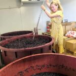 From Sydney: Hunter Valley Beer & Wine Group Tour - Why This Tour Offers Great Value