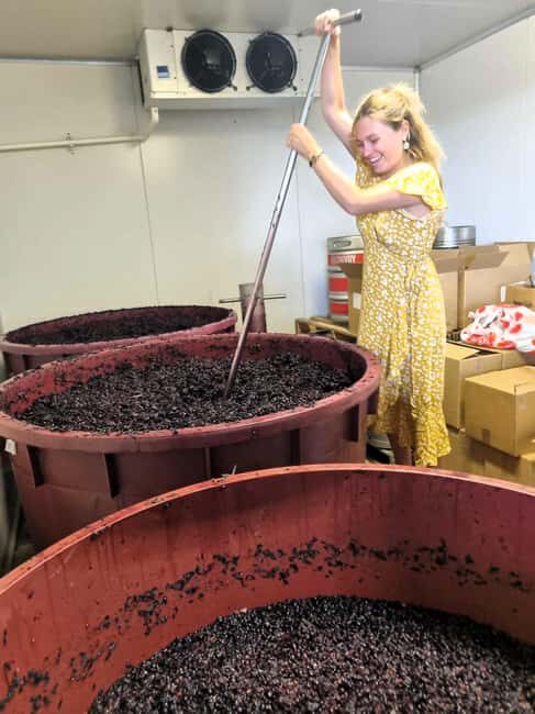 From Sydney: Hunter Valley Beer & Wine Group Tour - Why This Tour Offers Great Value