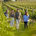 From Sydney: Hunter Valley Boutique Wine Tasting Tour - The Itinerary: What You Can Expect