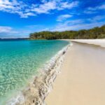 From Sydney: Jervis Bay Day Tour and Dolphin Watching Cruise - Authentic Experiences and Honest Feedback from Travelers