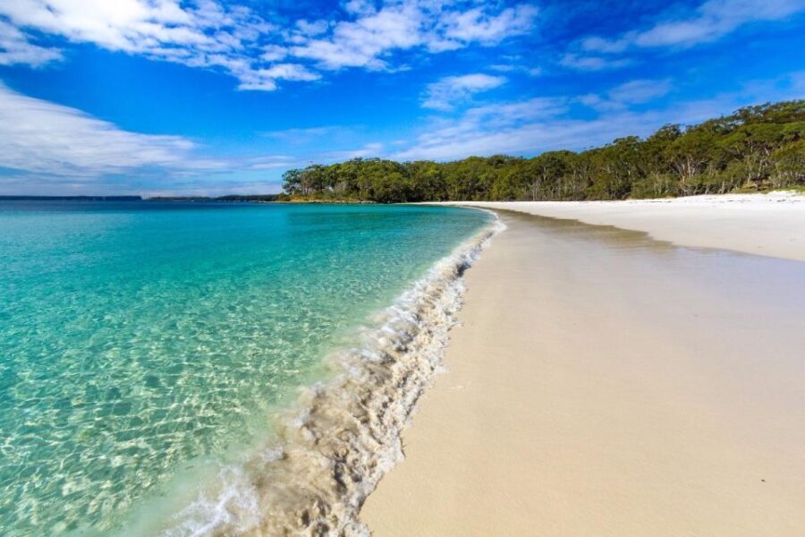 From Sydney: Jervis Bay Day Tour and Dolphin Watching Cruise - Authentic Experiences and Honest Feedback from Travelers