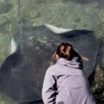 From Sydney: Jervis Bay Tour with Beach, Koalas & Kangaroos - In The Sum Up