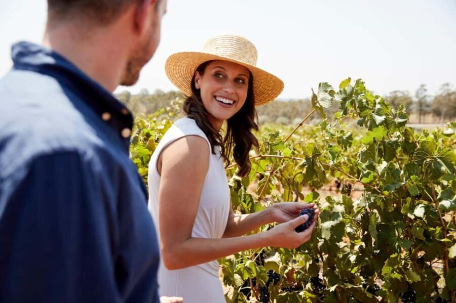 From Sydney: Luxury Hunter Valley Wine Tour with Fine Dining - Why This Tour Stands Out