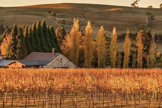 From Sydney Private Tour of Waterfalls Wineries and Wildlife - Who Will Love This Tour?