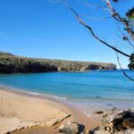 From Sydney: Royal National Park, Wollongong, and Kiama Tour - Royal National Park – Nature’s Awe-Inspiring Playground