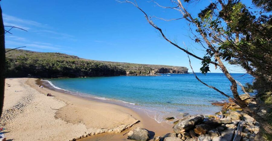 From Sydney: Royal National Park, Wollongong, and Kiama Tour - Royal National Park – Nature’s Awe-Inspiring Playground