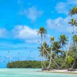 From Tahiti: Tetiaroa Island Tour by Sailing Catamaran - Exploring and Enjoying the Island