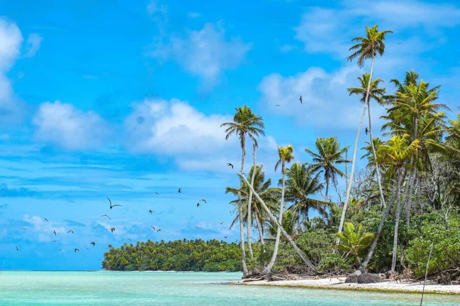From Tahiti: Tetiaroa Island Tour by Sailing Catamaran - Exploring and Enjoying the Island