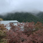 From Taipei: Taipingshan & Jiuzhize Hot Spring Private Tour - Exploring Taipingshan National Forest