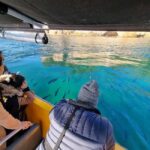 From Tairua: 2 Hour Cathedral Cove Tour with Local Guide - The Value in What You Get