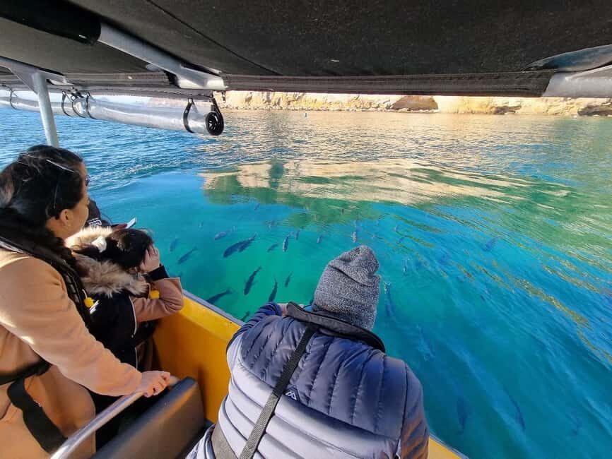 From Tairua: 2 Hour Cathedral Cove Tour with Local Guide - The Value in What You Get
