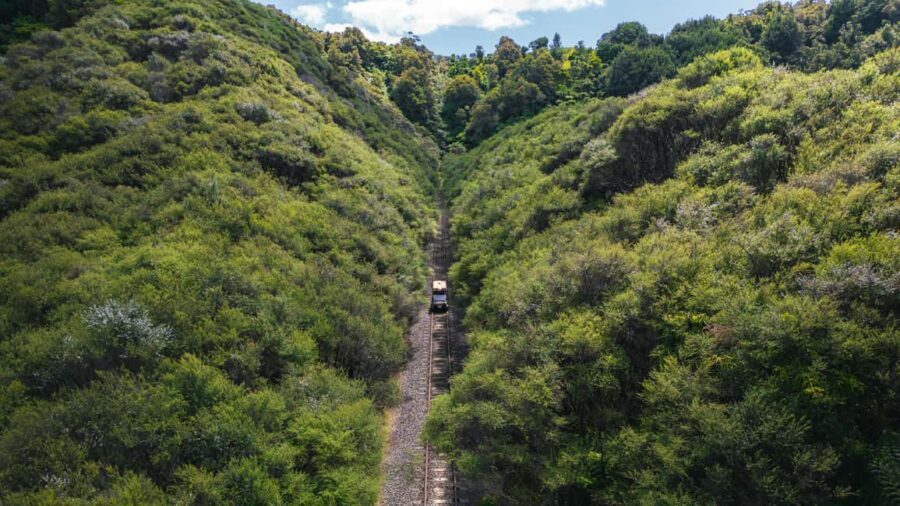 From Taumarunui: The Republic Rail Cart Adventure - Exploring the Itinerary: What You Can Expect