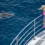 From Tauranga: Half-Day Swimming with Dolphins Tour - FAQ