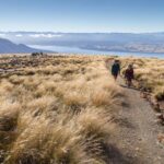 From Te Anau: Full Day Kepler Track Guided Heli-Hike - What to Expect on this Full-Day Fiordland Adventure