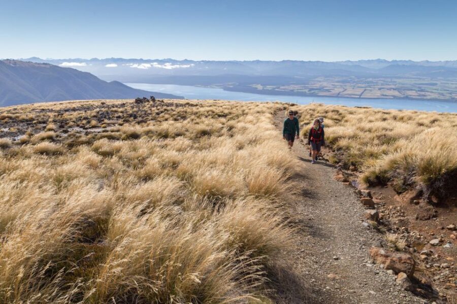 From Te Anau: Full Day Kepler Track Guided Heli-Hike - What to Expect on this Full-Day Fiordland Adventure
