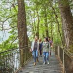From Te Anau: Milford Sound Coach Tour and Cruise - Practical Details That Matter