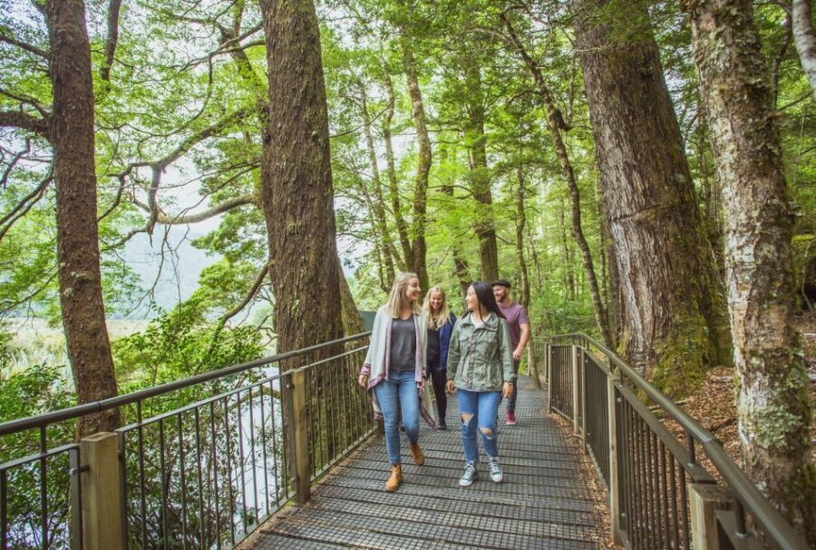 From Te Anau: Milford Sound Coach Tour and Cruise - Practical Details That Matter