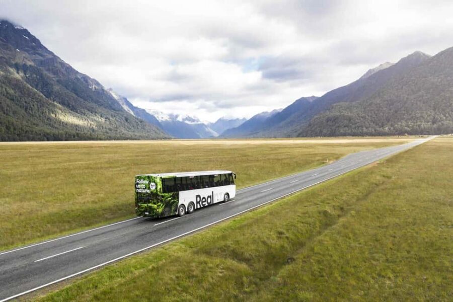 From Te Anau: Milford Sound Cruise and Coach Day Trip - What to Expect: The Experience in Detail