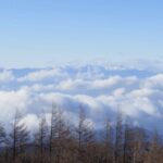 From Tokoyo - Mount FUJI Classic Highlight Joiner Day Tour - Transportation and Group Dynamics