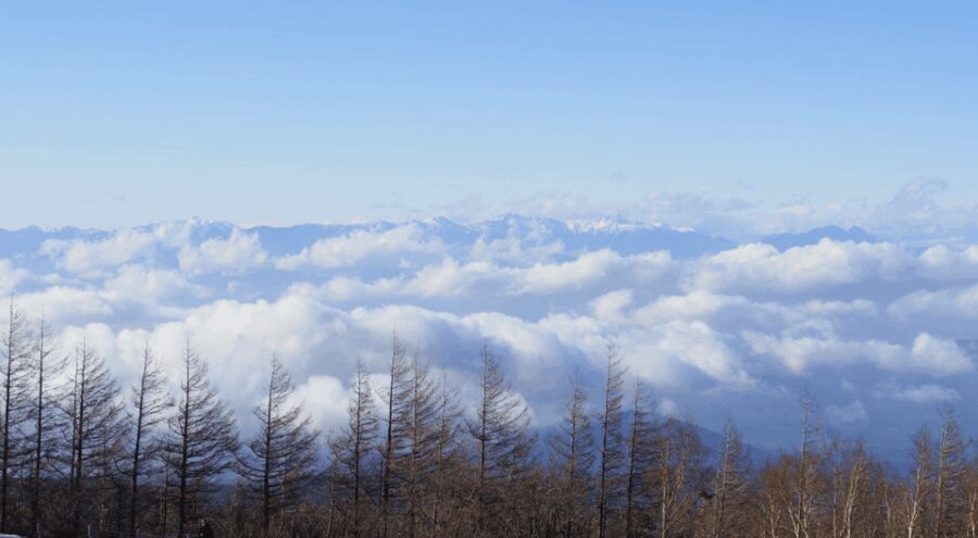 From Tokoyo - Mount FUJI Classic Highlight Joiner Day Tour - Transportation and Group Dynamics