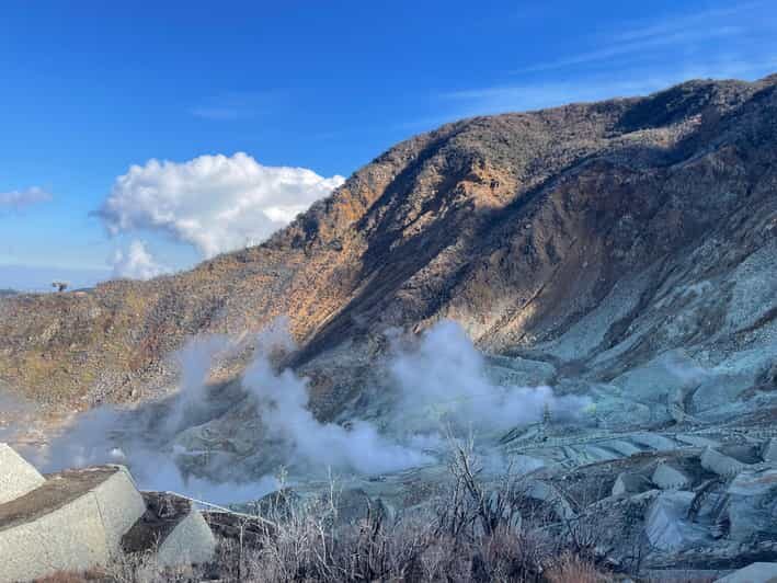 From Tokyo: Hakone Full Day Customizable Private Tour - The Value and Experience: Pros and Cons