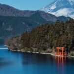 From Tokyo: Hakone Private Sightseeing Day Trip - Value and Practicalities