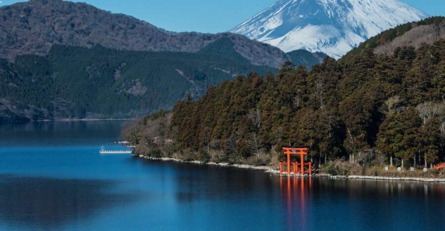 From Tokyo: Hakone Private Sightseeing Day Trip - Value and Practicalities
