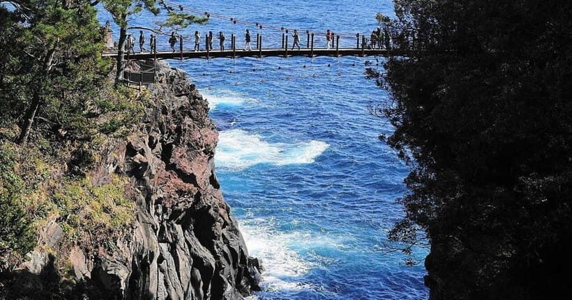 From Tokyo: Izu Omuro Mountain, Jogasaki Coast Day Trip - Who Will Love This Tour?