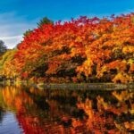 From Tokyo: Karuizawa Customizable Private Day Trip by Van - Detailed Itinerary and Experience Breakdown
