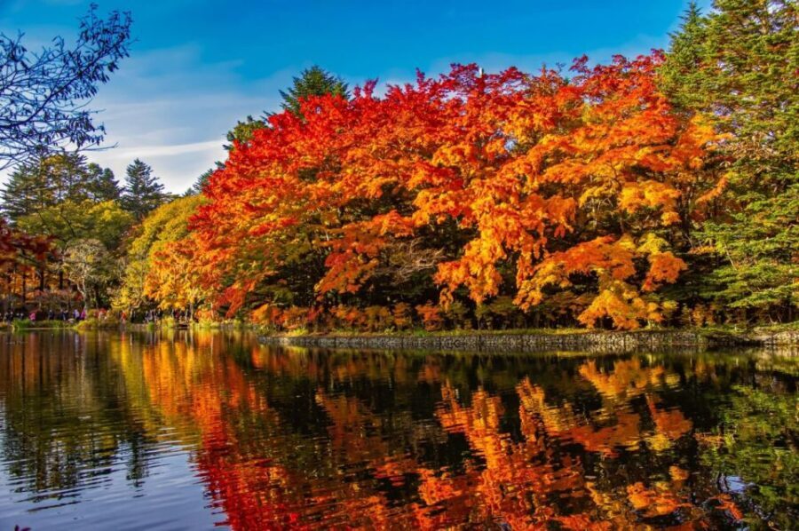 From Tokyo: Karuizawa Customizable Private Day Trip by Van - Detailed Itinerary and Experience Breakdown