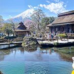 From Tokyo: Mount Fuji and Hakone Private Day Trip - Who Would Love This Tour?