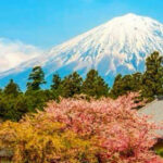 From Tokyo: Mount Fuji And Hakone Private Full Day Trip - Optional Enhancements: Customization for Extra Fun