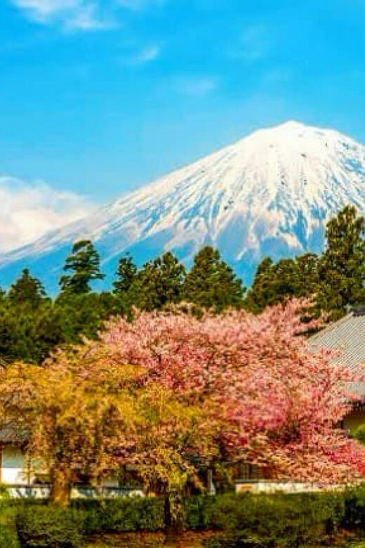 From Tokyo: Mount Fuji And Hakone Private Full Day Trip - Optional Enhancements: Customization for Extra Fun